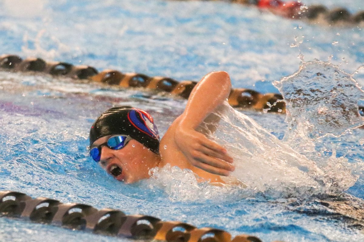 Top Five Finishes for AC-S Swimmers at WCST Meet – The Citizen-Times